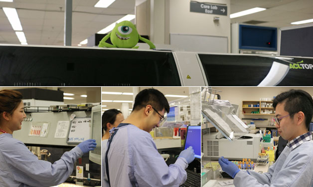 A day in the lab: Core Lab | VCH Research Institute