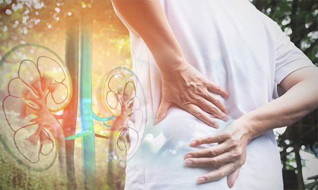 Ask an expert: How do I keep my hard-working kidneys healthy? | VCH ...