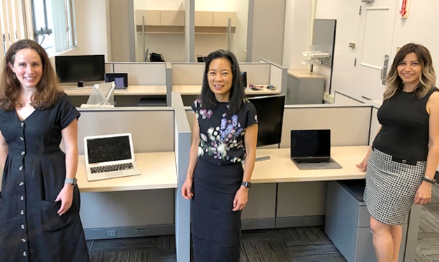 Dry lab harnesses big data for gynecologic cancer research | VCH ...