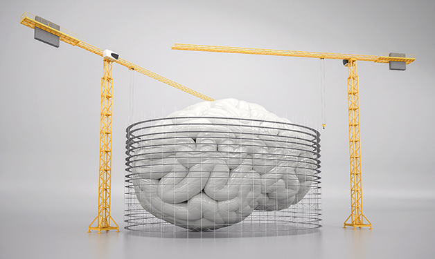 Ask an expert: Can I teach my old (-ish) brain new tricks? | VCH ...